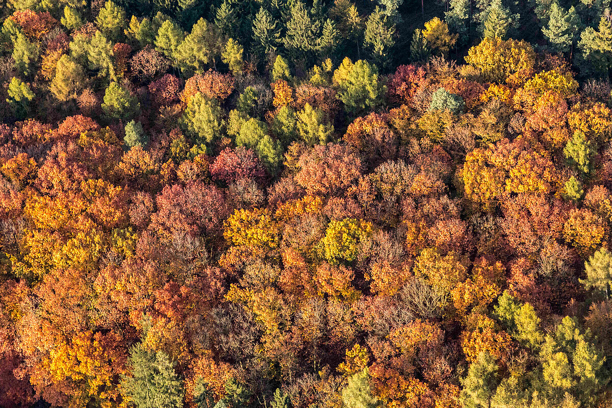 Die Hohe Mark: regiofreizeit.de